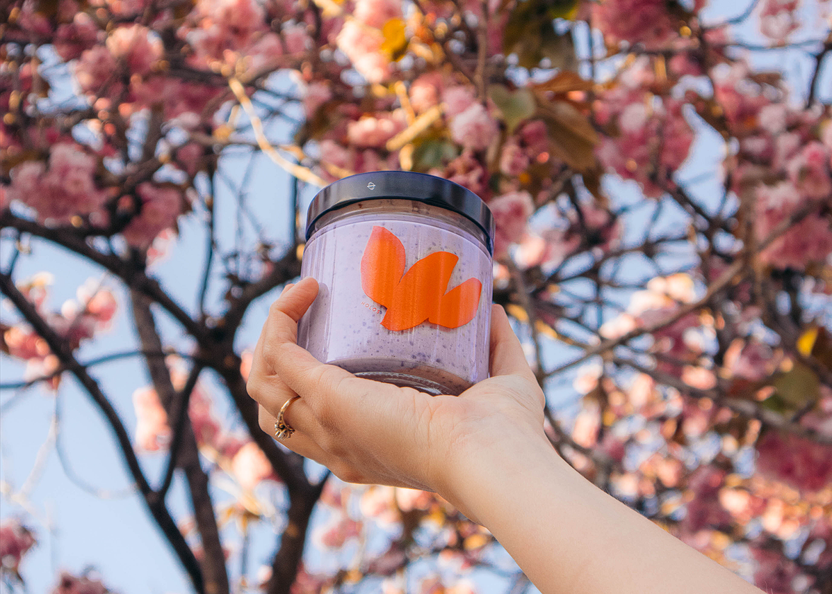 Let us introduce you to the world of Berries! – HOLOS